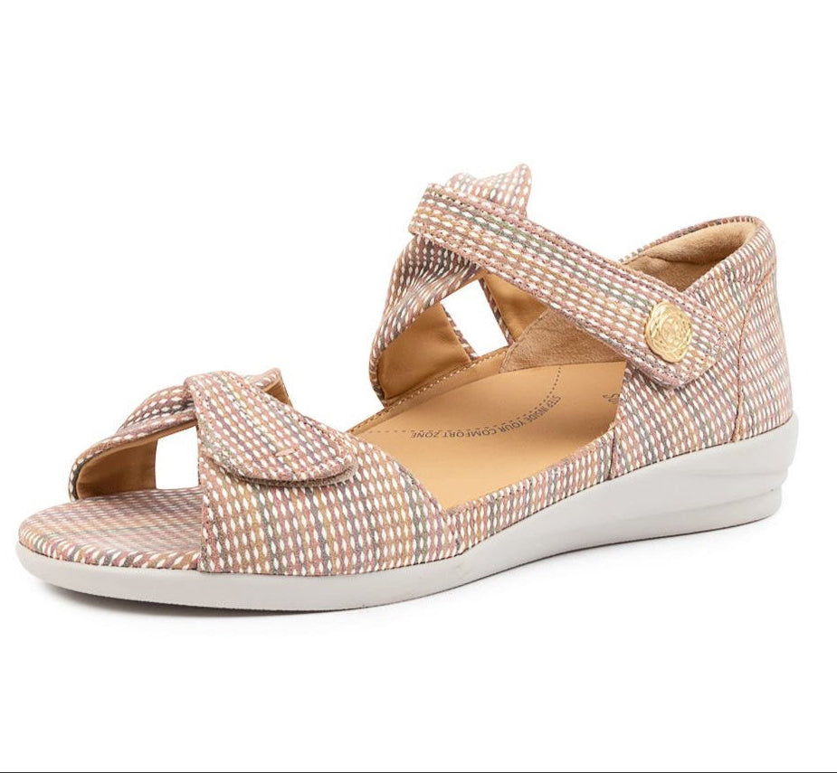 ZIERA Doxie - Global Stripe – Hobart Podiatrists & Footwear